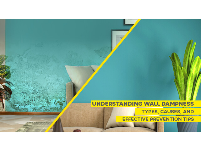 Understanding Wall Dampness: Types, Causes, and Effective Prevention ...